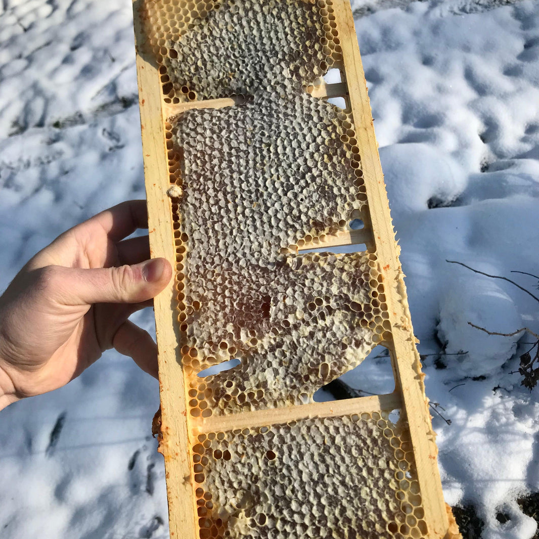 Bee Outside – HiveAndGarden